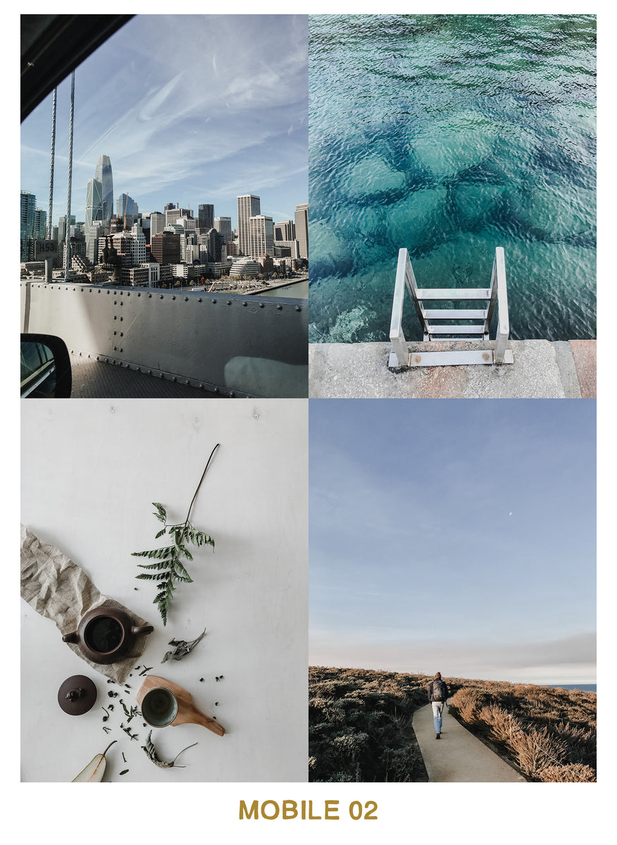 MOBILE + MOBILE II BUNDLE | SAVE 25% – Vivid Presets